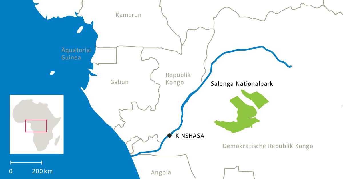 Perlindungan bonobo: Sekolah menumbuhkan kepercayaan - Selamatkan Hutan Hujan