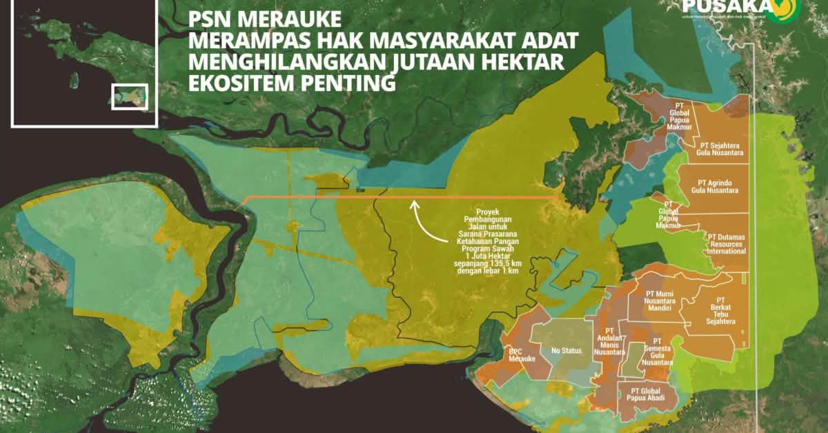 Hentikan PSN Merauke di hutan suku Marind! - Selamatkan Hutan Hujan