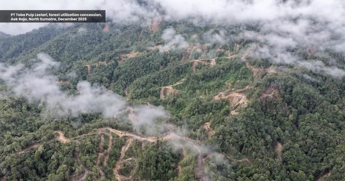 Data aktual deforestasi di Indonesia tahun 2025 - Selamatkan Hutan ...