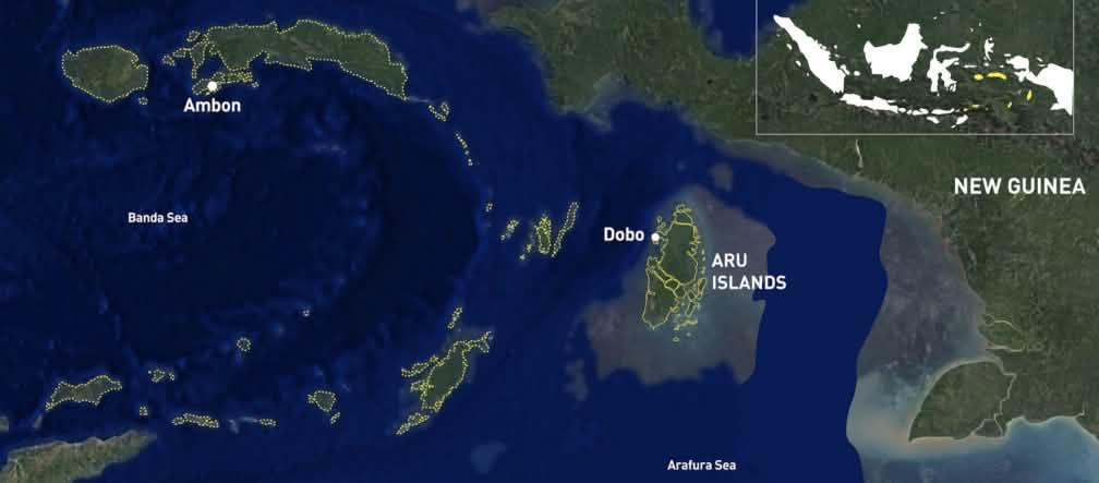 Indonesia: Kepulauan Aru berada dalam bahaya akibat perdagangan karbon ...