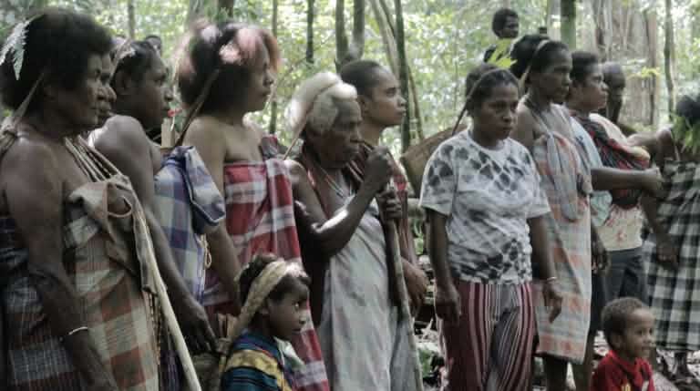 Selamatkan Hutan Hujan - Suara Anda membantu