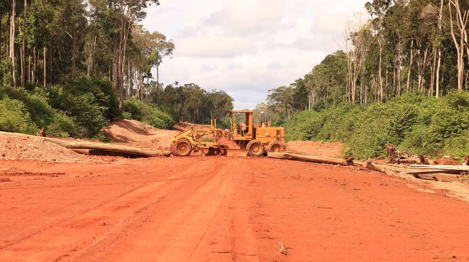 Konflik dan penggundulan hutan meningkat di Papua - Selamatkan Hutan Hujan